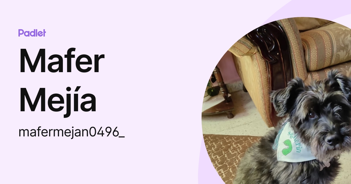 Mafer Mejía (mafermejan0496_) profile | Padlet