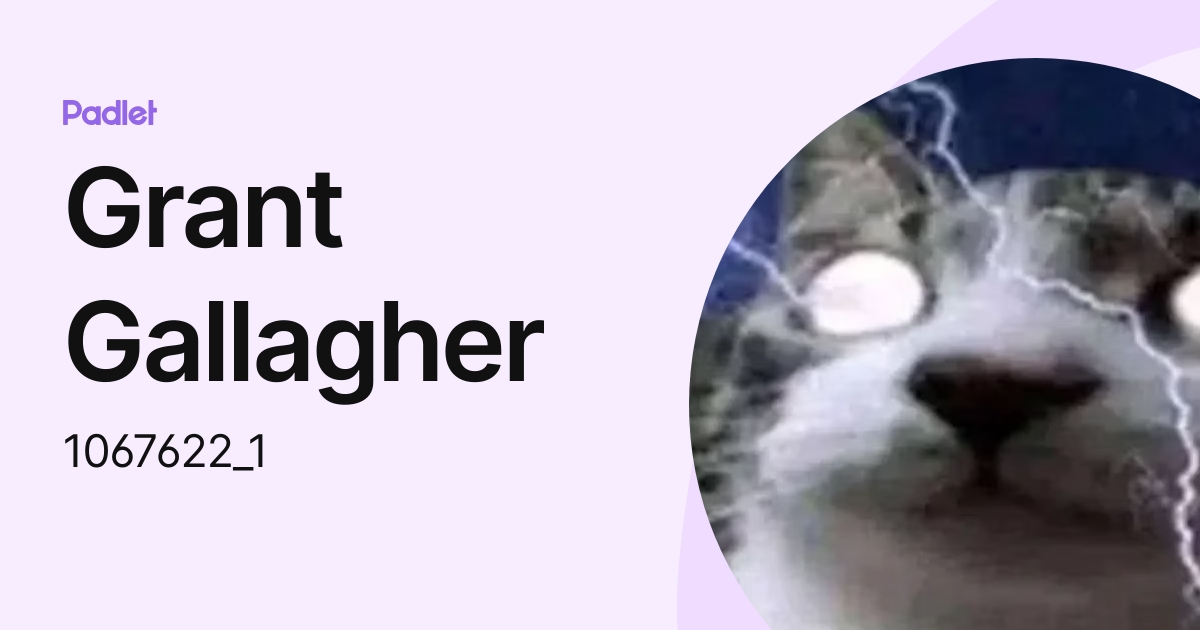 Grant Gallagher (1067622_1) profile | Padlet