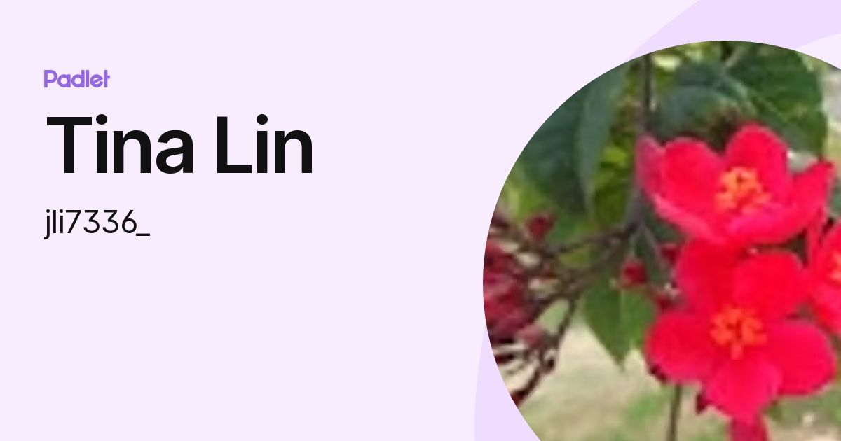 Tina Lin (jli7336_) profile | Padlet