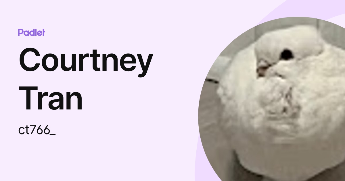 Courtney Tran (ct766_) profile | Padlet