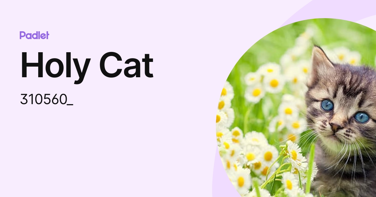 Holy Cat (310560_) profile | Padlet