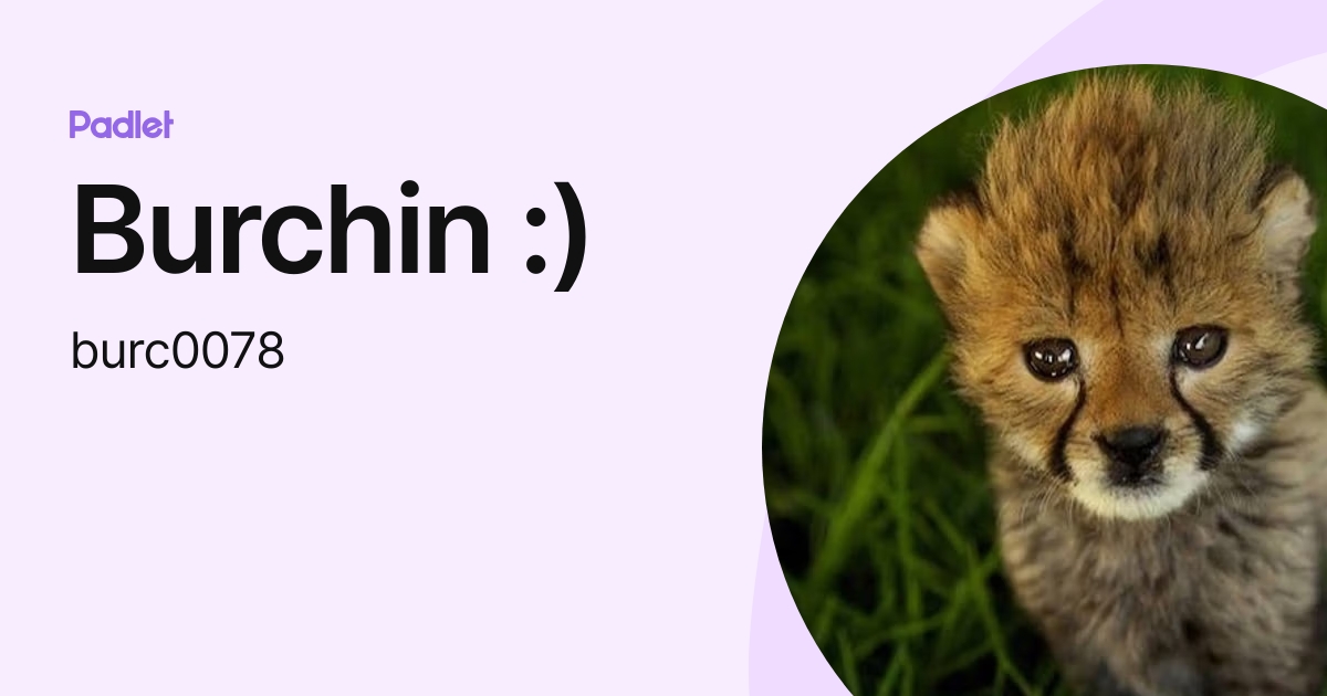 Burchin :) (burc0078) profile | Padlet