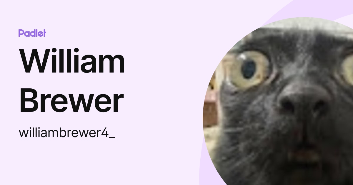 William Brewer (williambrewer4_) profile | Padlet