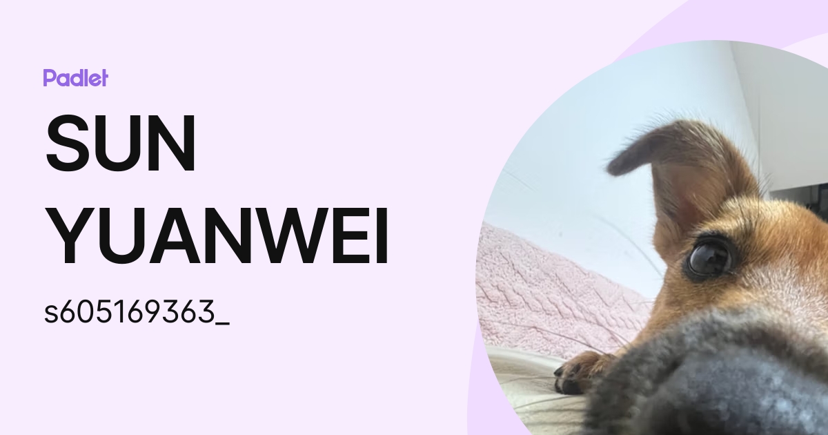 SUN YUANWEI (s605169363_) profile | Padlet
