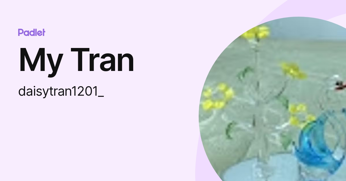 My Tran (daisytran1201_) profile | Padlet