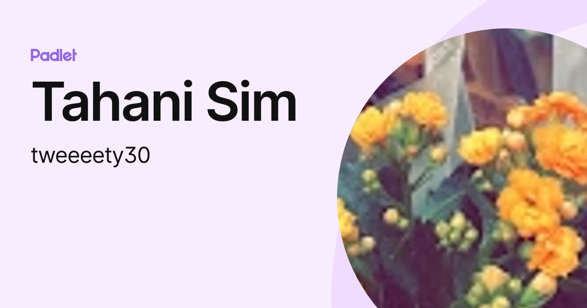 Tahani Sim (tweeeety30) profile | Padlet