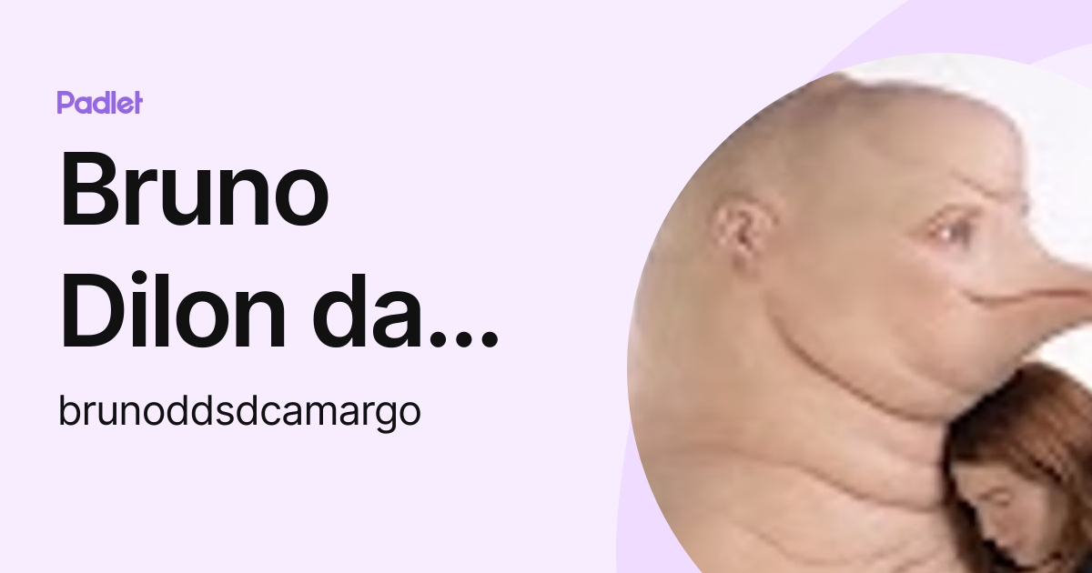 Bruno Dilon da Silva de Camargo (brunoddsdcamargo) profile | Padlet