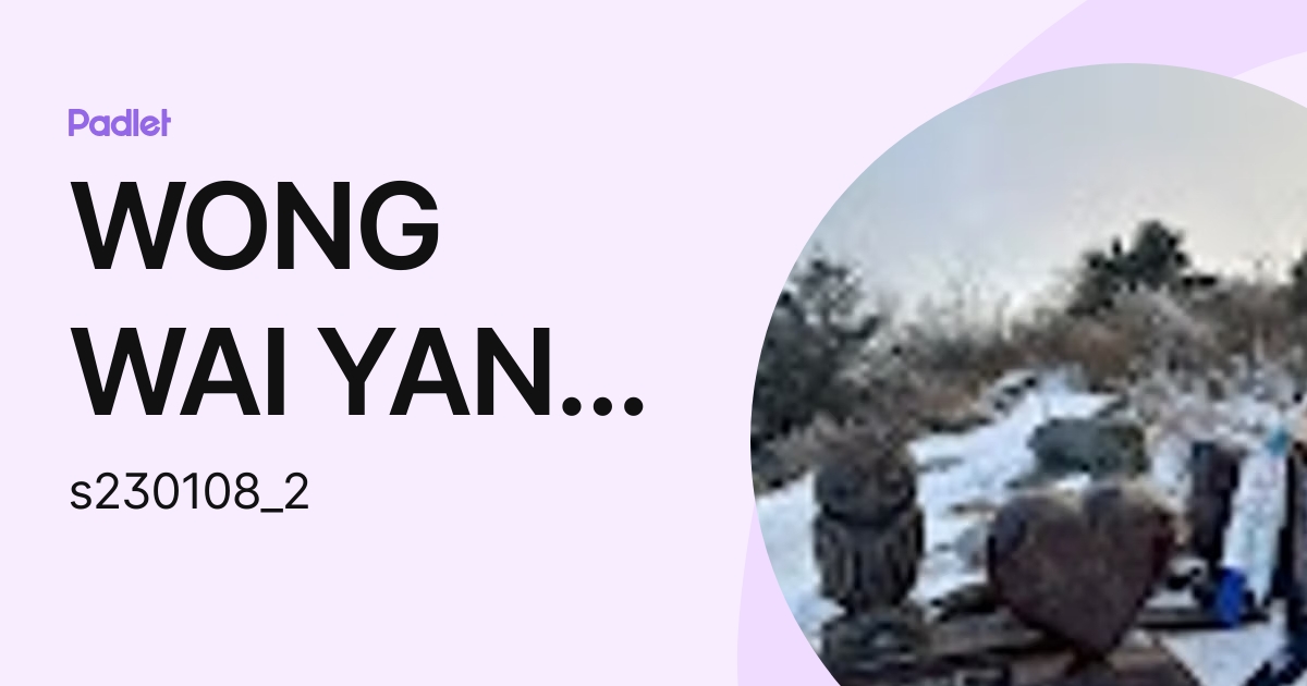 WONG WAI YAN IAN王湋寅 (s230108_2) profile | Padlet
