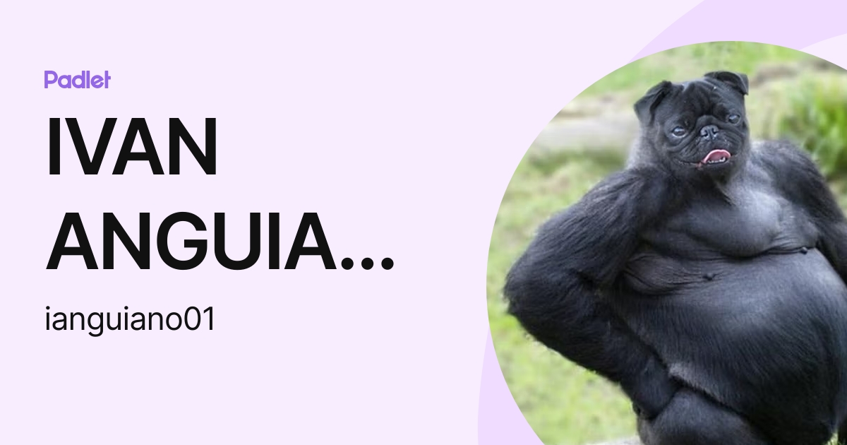 IVAN ANGUIANO (ianguiano01) profile | Padlet