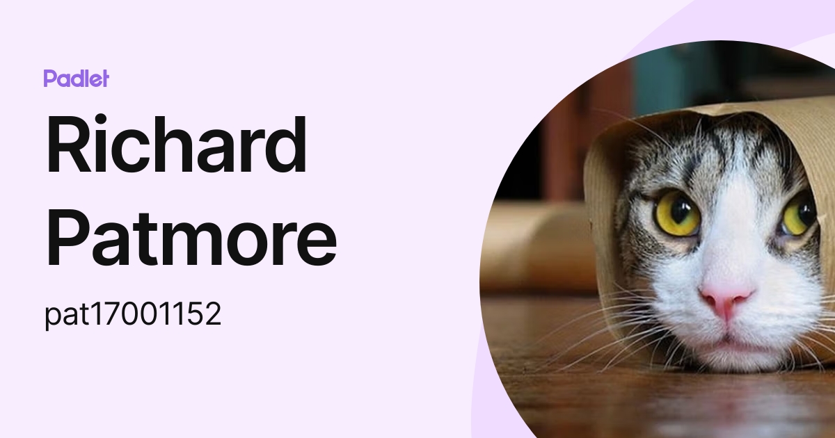 Richard Patmore (pat17001152) profile | Padlet