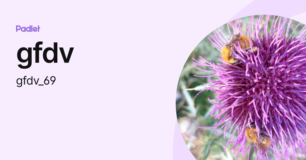 gfdv (gfdv_69) profile | Padlet