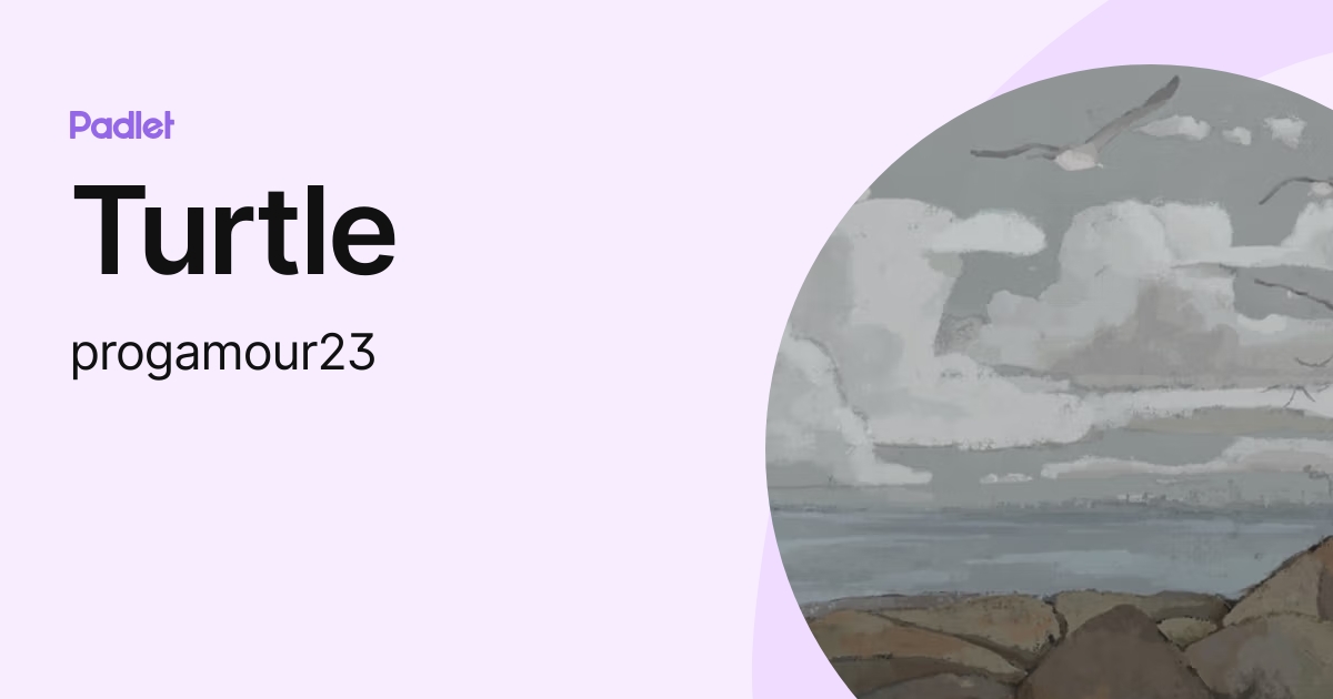 Turtle (progamour23) profile | Padlet