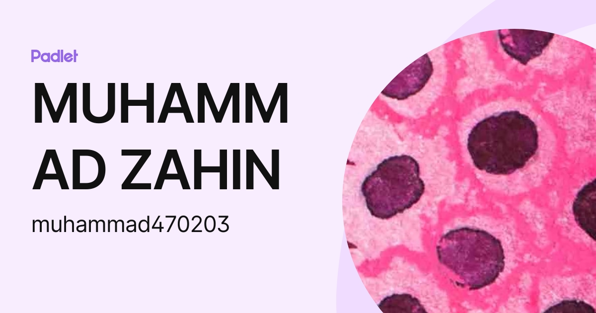 MUHAMMAD ZAHIN (muhammad470203) profile | Padlet