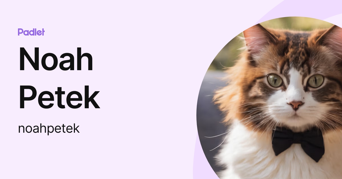 Noah Petek (noahpetek) profile | Padlet