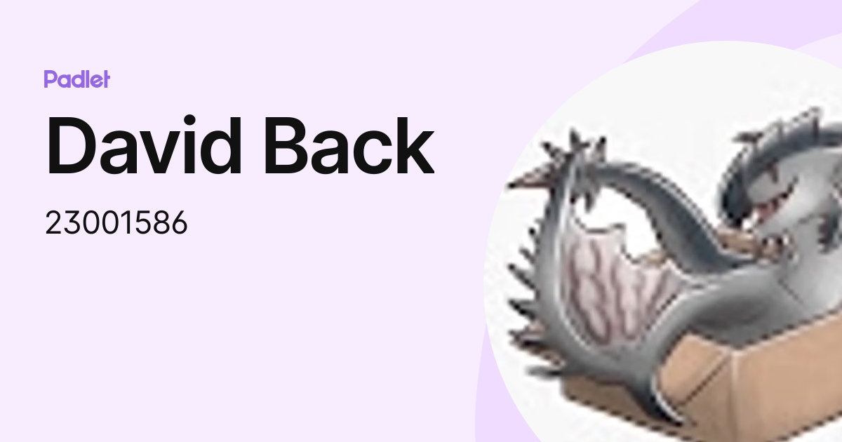 David Back (23001586) profile | Padlet