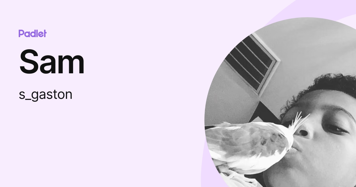 Sam (s_gaston) profile | Padlet