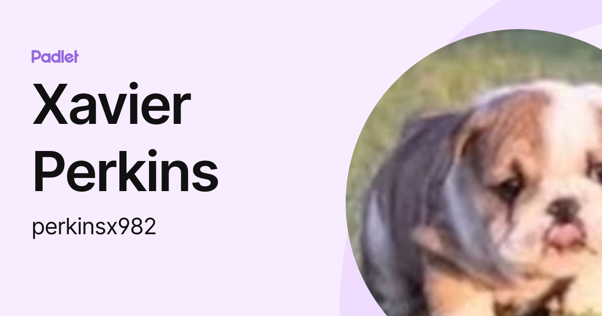 Xavier Perkins (perkinsx982) profile | Padlet