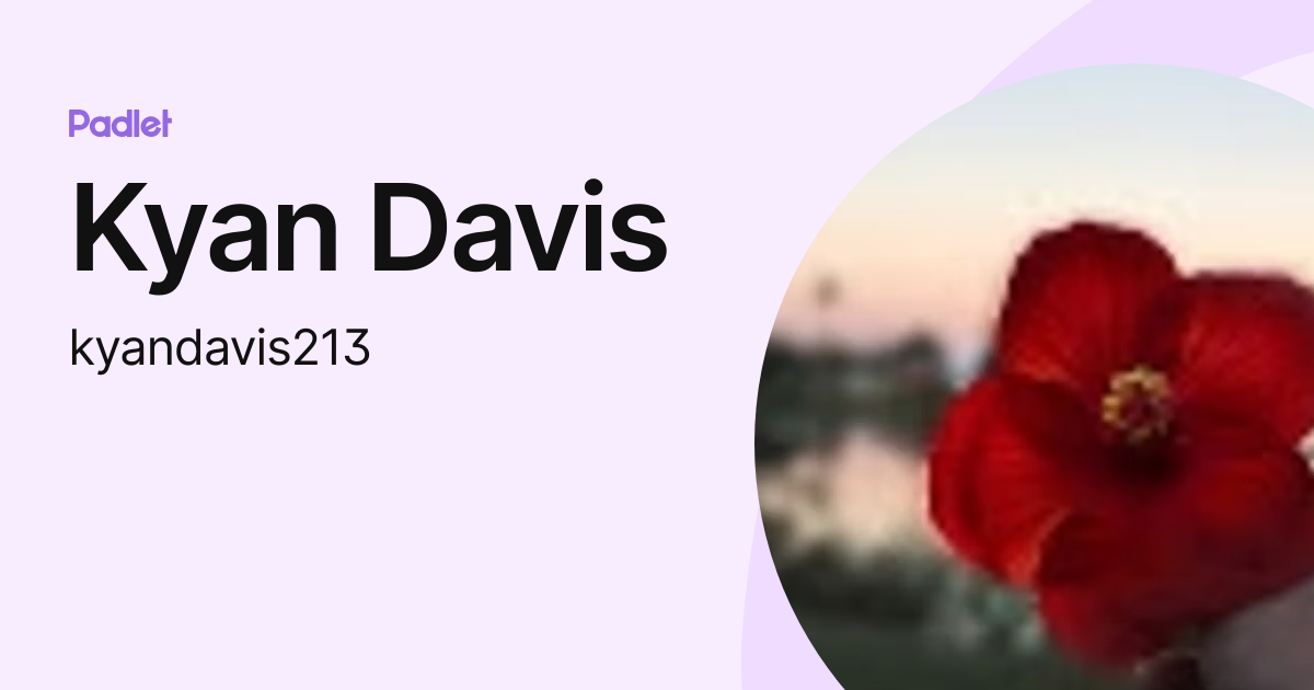 Kyan Davis (kyandavis213) profile | Padlet