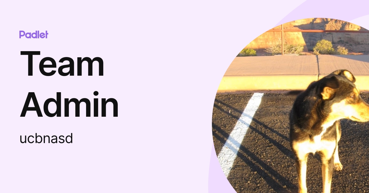 Team Admin (ucbnasd) profile | Padlet