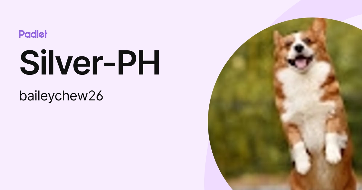 Silver-PH (baileychew26) profile | Padlet