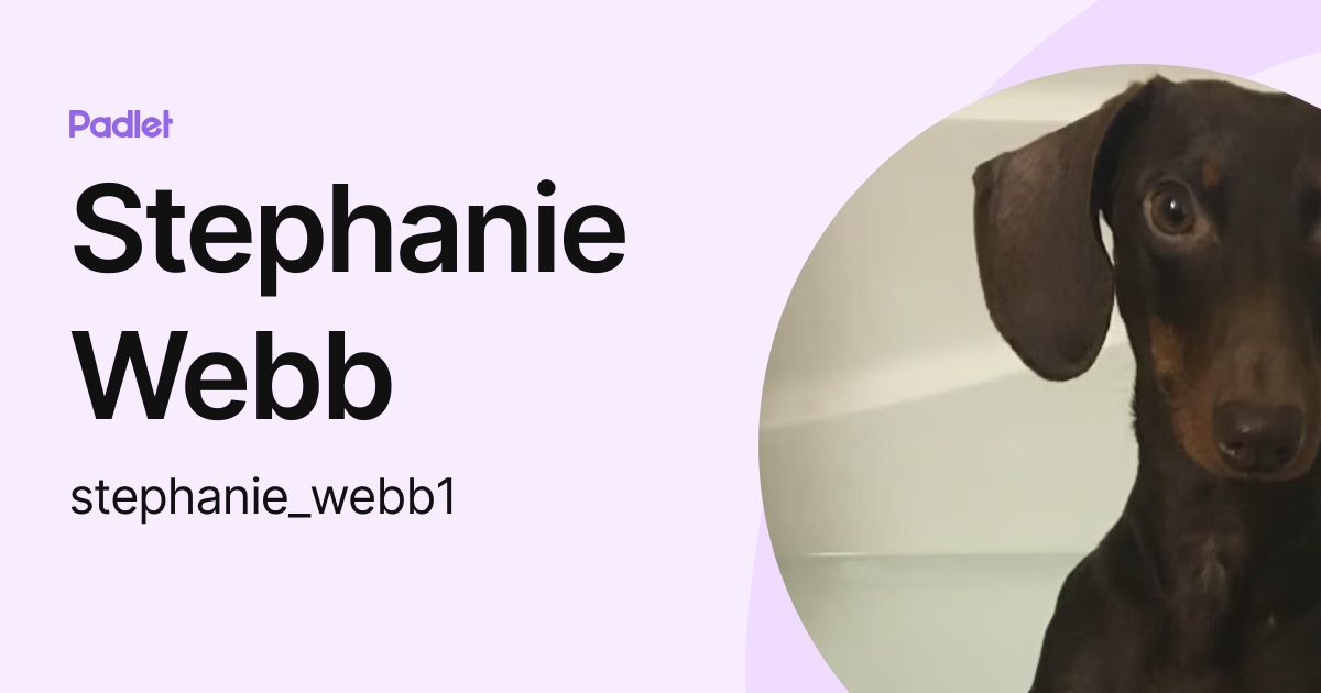 Stephanie Webb (stephanie_webb1) profile | Padlet