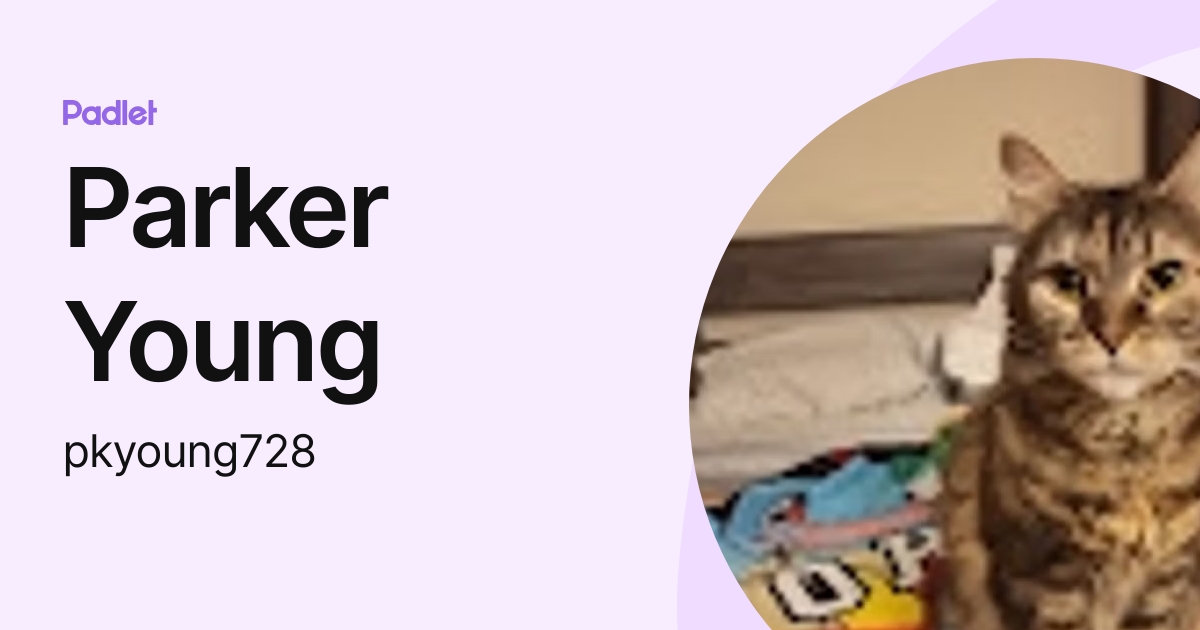 Parker Young (pkyoung728) profile | Padlet