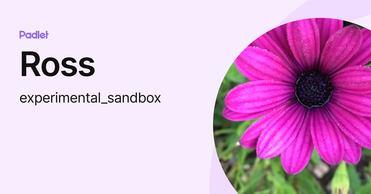 Ross (experimental_sandbox) profile | Padlet