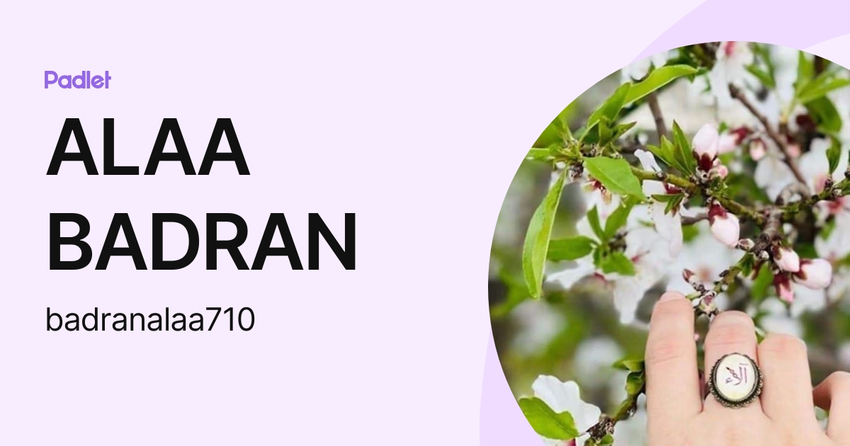 ALAA BADRAN (badranalaa710) profile | Padlet