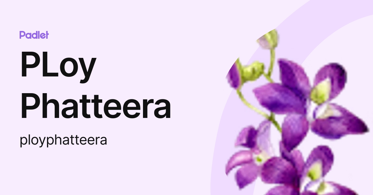 PLoy Phatteera (ployphatteera) profile | Padlet