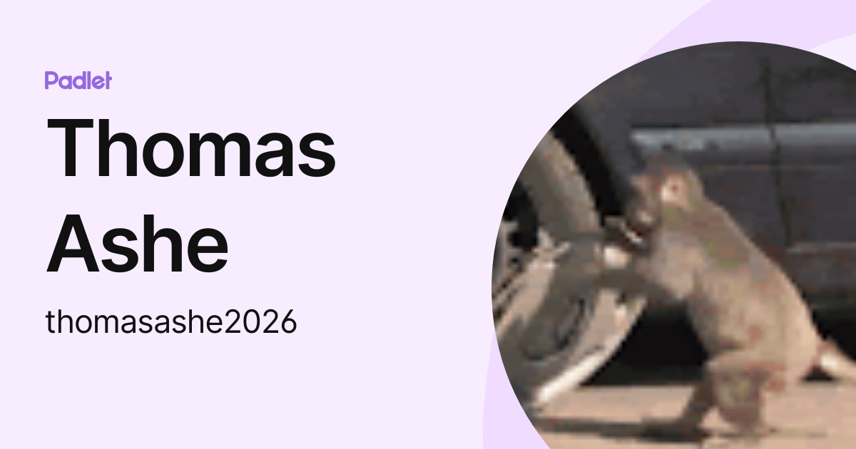 Thomas Ashe (thomasashe2026) profile | Padlet