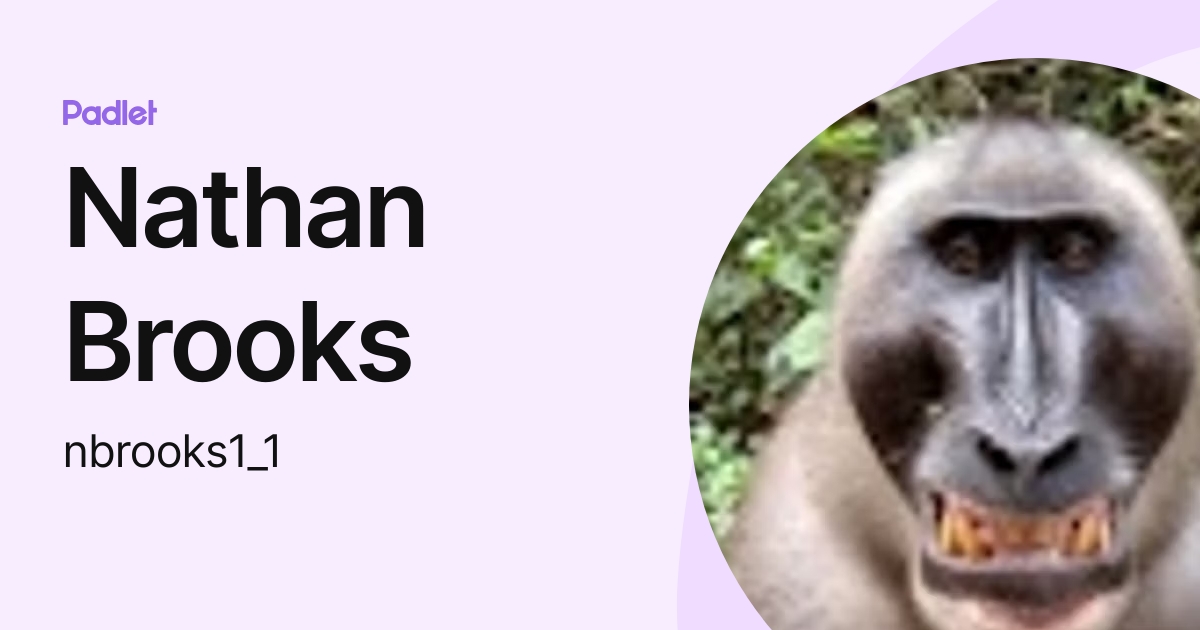 Nathan Brooks (nbrooks1_1) profile | Padlet