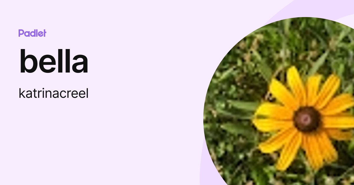 bella (katrinacreel) profile | Padlet