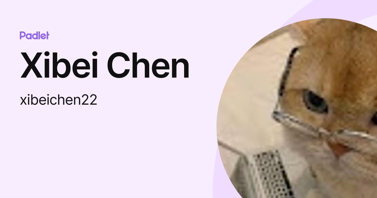 Xibei Chen (xibeichen22) profile | Padlet