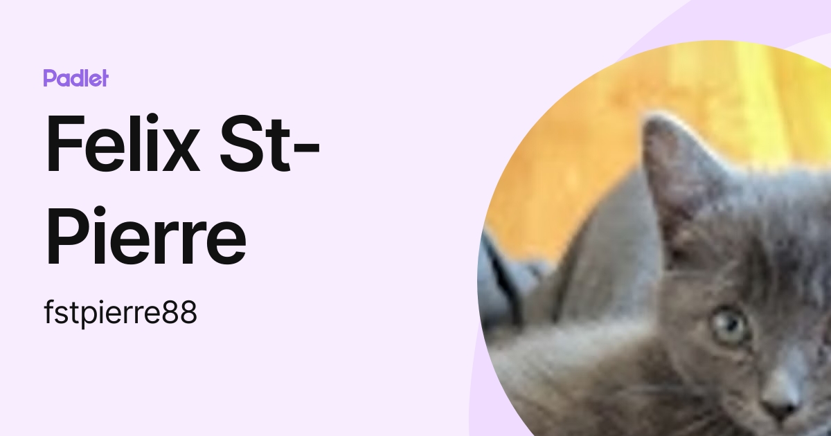 Felix St-Pierre (fstpierre88) profile | Padlet