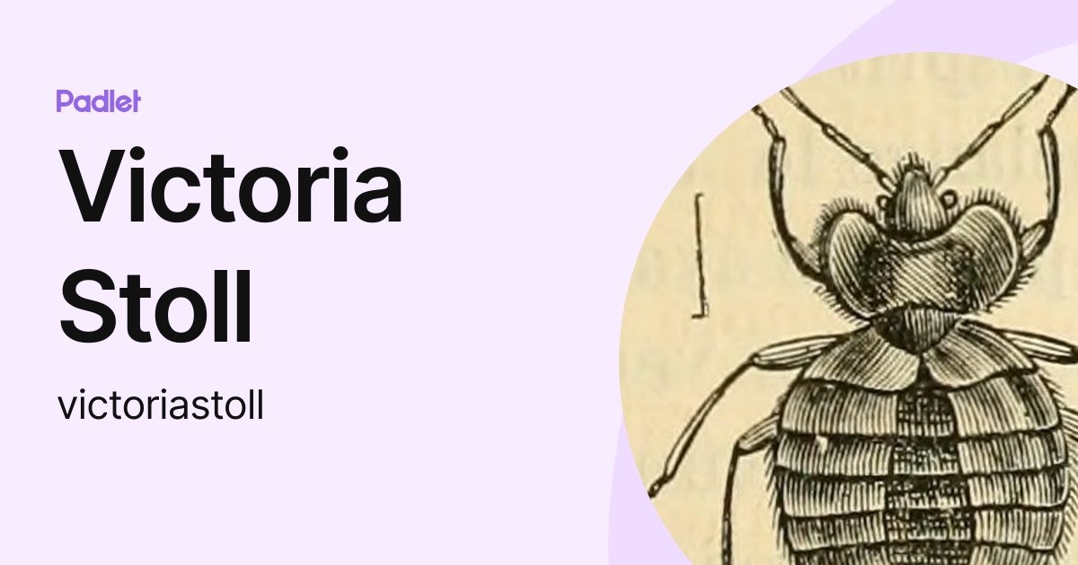 Victoria Stoll (victoriastoll) profile | Padlet