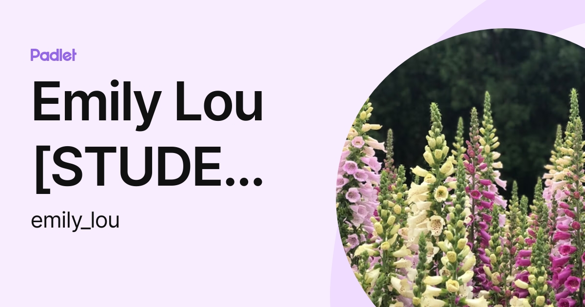 Emily Lou [STUDENT] (emily_lou) profile | Padlet
