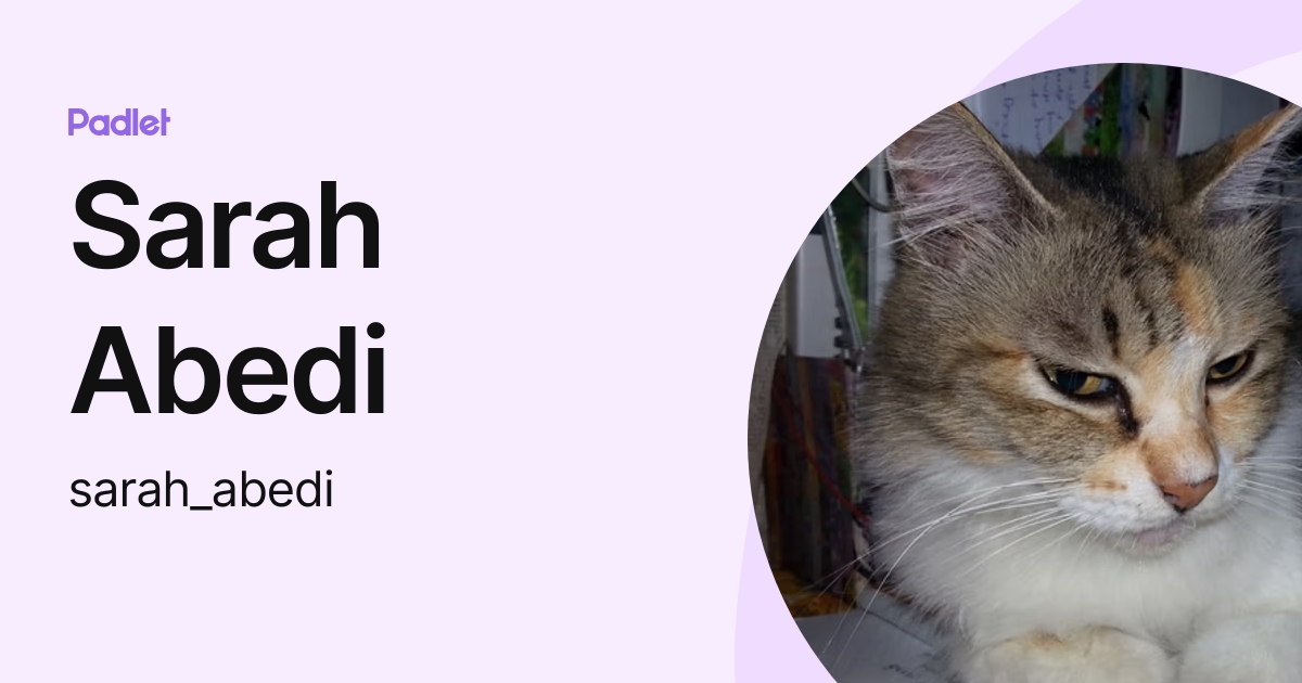 Sarah Abedi (sarah_abedi) profile | Padlet
