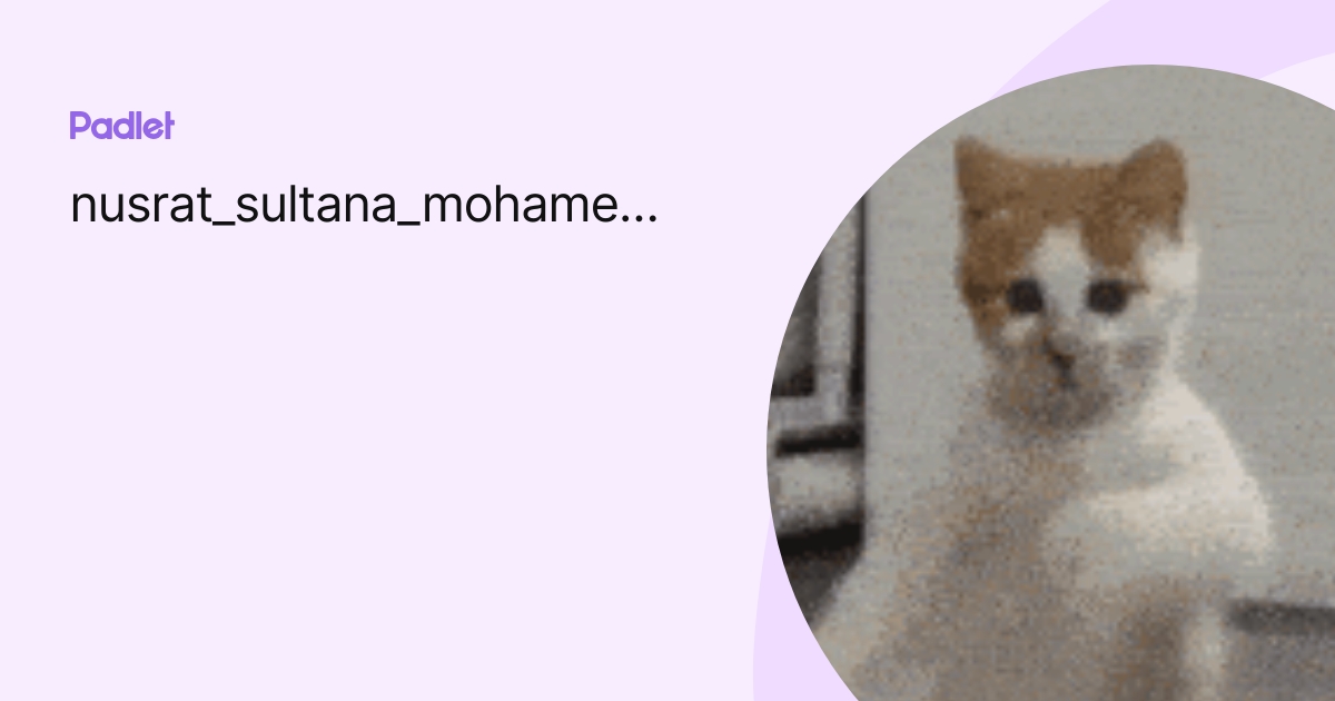 nusrat_sultana_mohamed_iqbal_a profile | Padlet