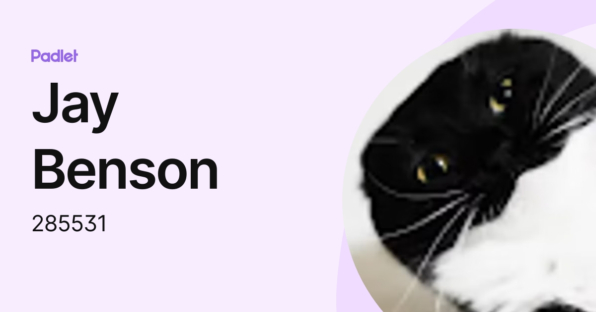 Jay Benson (285531) profile | Padlet
