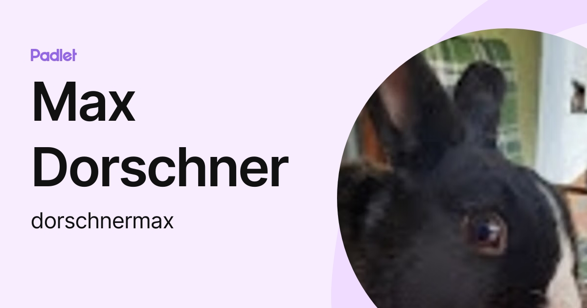 Max Dorschner (dorschnermax) profile | Padlet