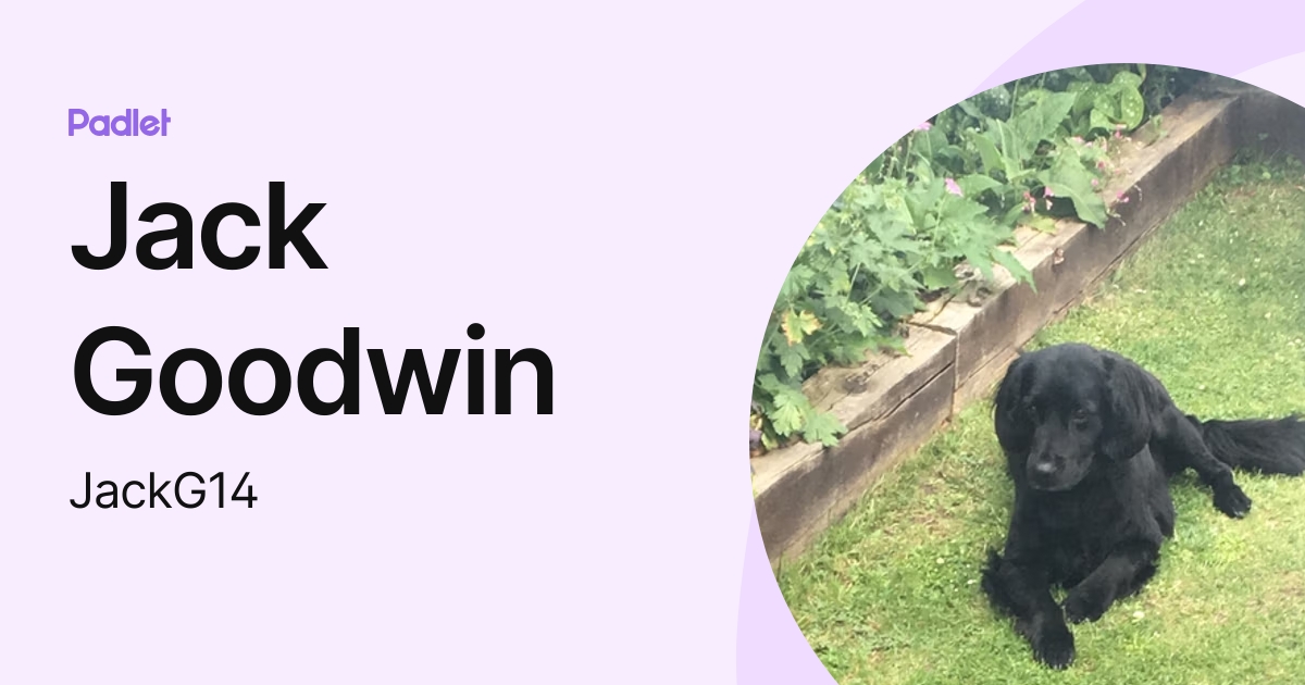 Jack Goodwin (JackG14) profile | Padlet