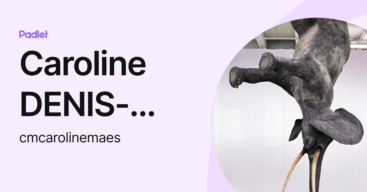 Caroline DENIS-LAROQUE (cmcarolinemaes) profile | Padlet