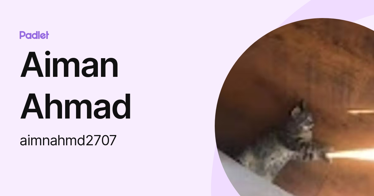 Aiman Ahmad (aimnahmd2707) profile | Padlet