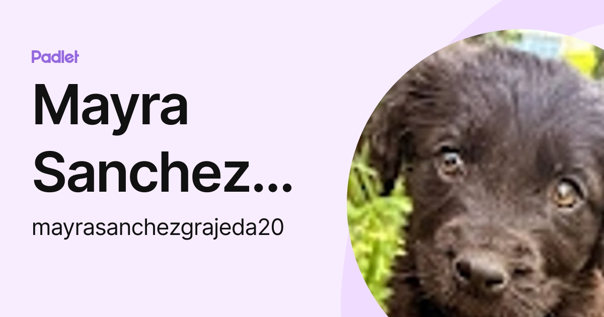 Mayra Sanchez Grajeda (mayrasanchezgrajeda20) profile | Padlet