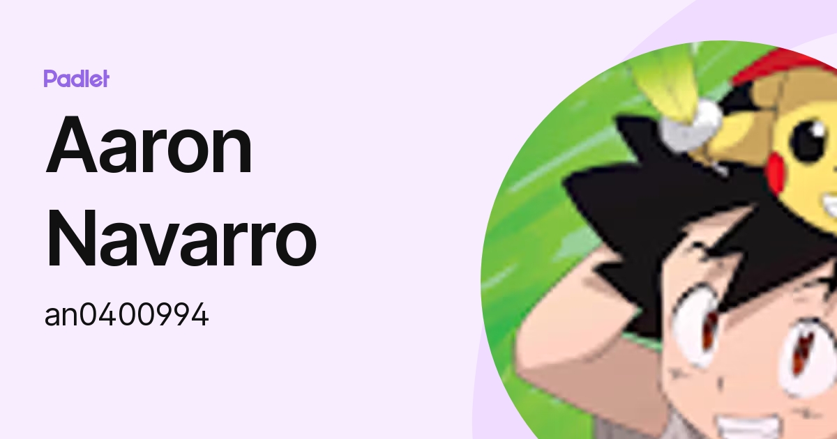 Aaron Navarro (an0400994) profile | Padlet