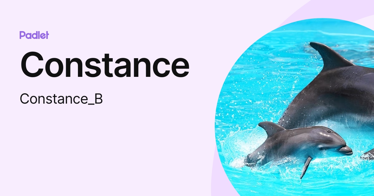 Constance (Constance_B) profile | Padlet