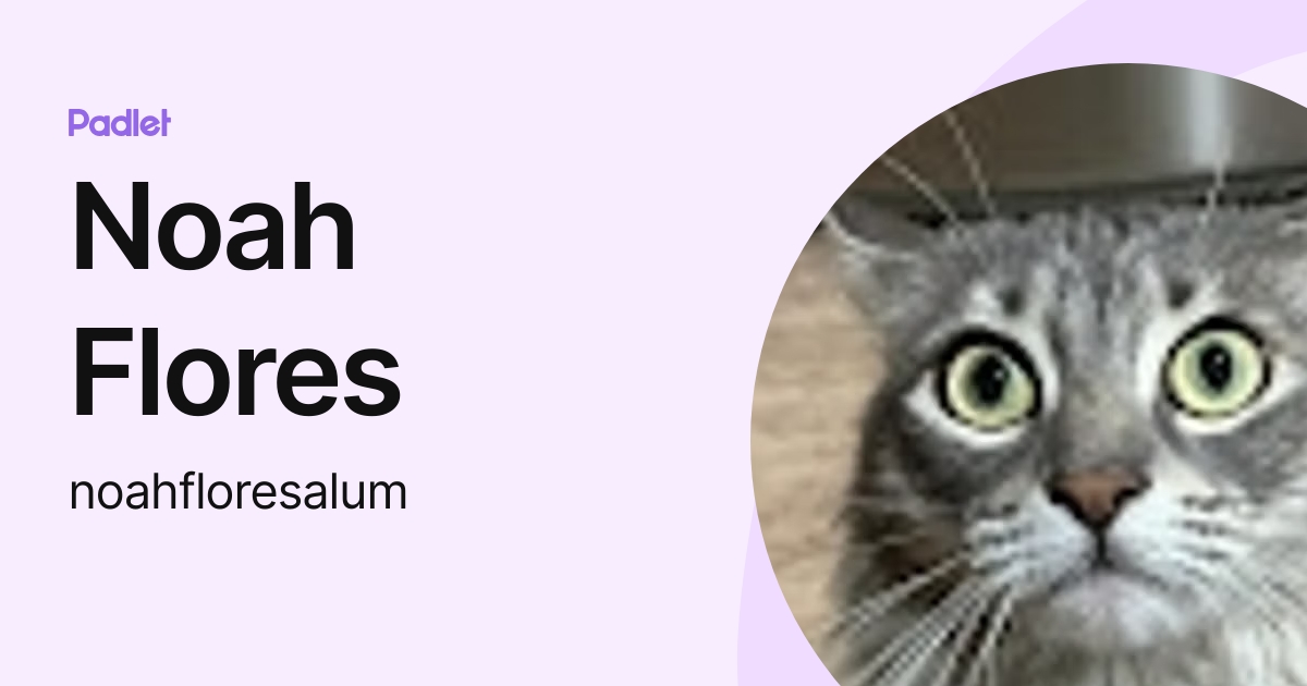 Noah Flores (noahfloresalum) profile | Padlet