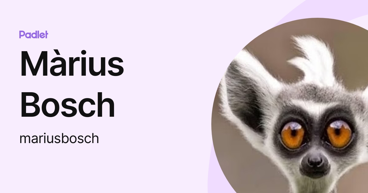 Màrius Bosch (mariusbosch) profile | Padlet