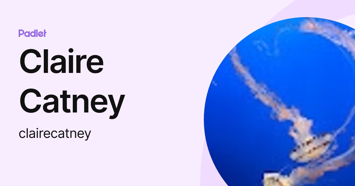 Claire Catney (clairecatney) profile | Padlet