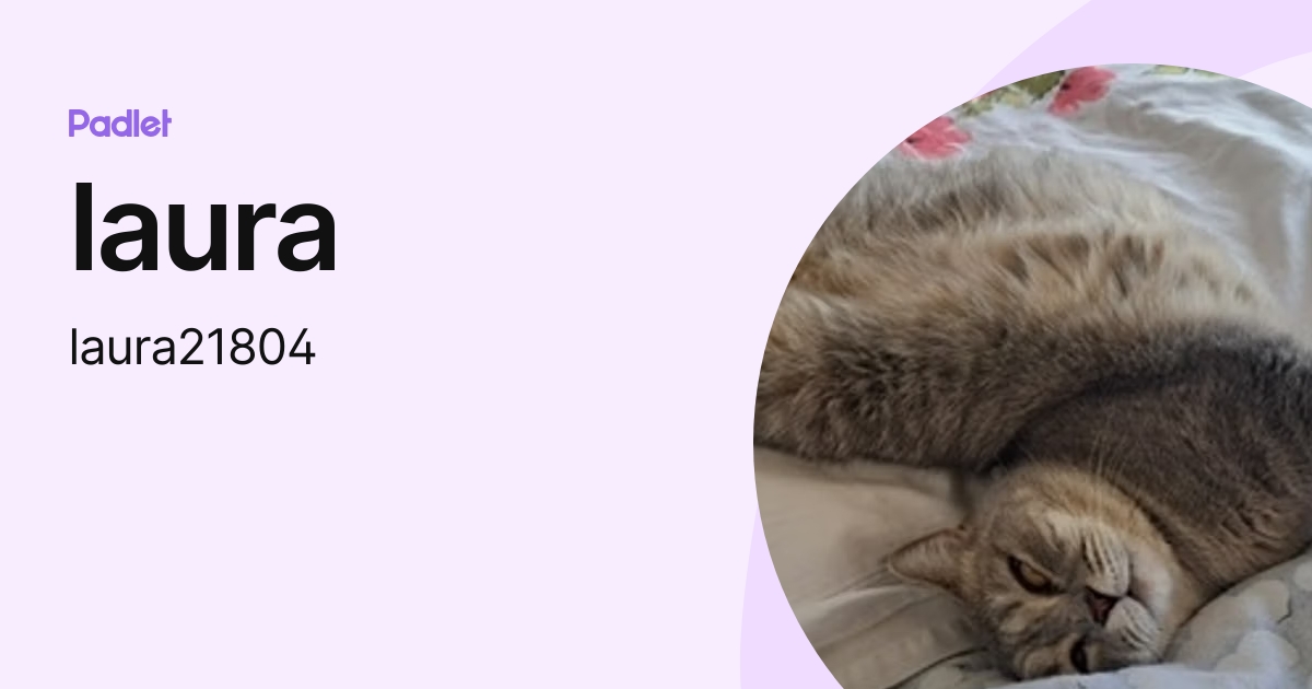 laura (laura21804) profile | Padlet